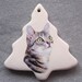 California Spangled Tabby Cat Star Ornament, Free Personalizing 22k ...