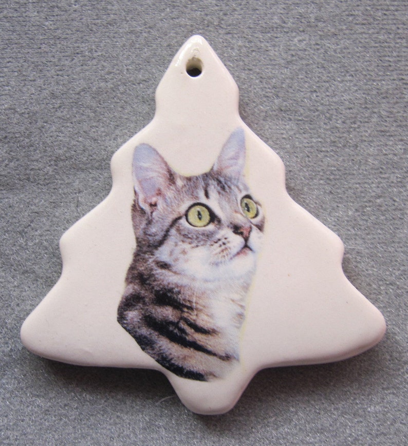 California Spangled Tabby Cat Star Ornament, Free Personalizing 22k ...