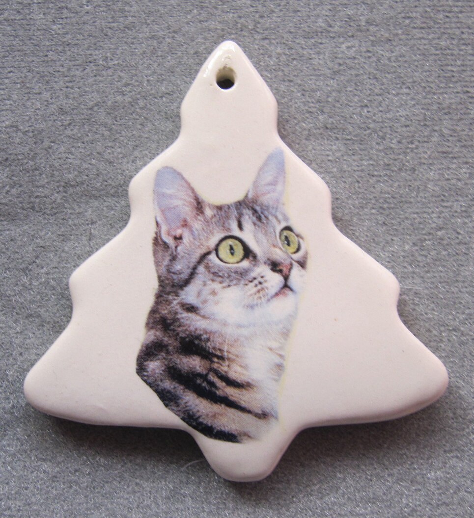 California Spangled Tabby Cat Star Ornament, Free Personalizing 22k ...