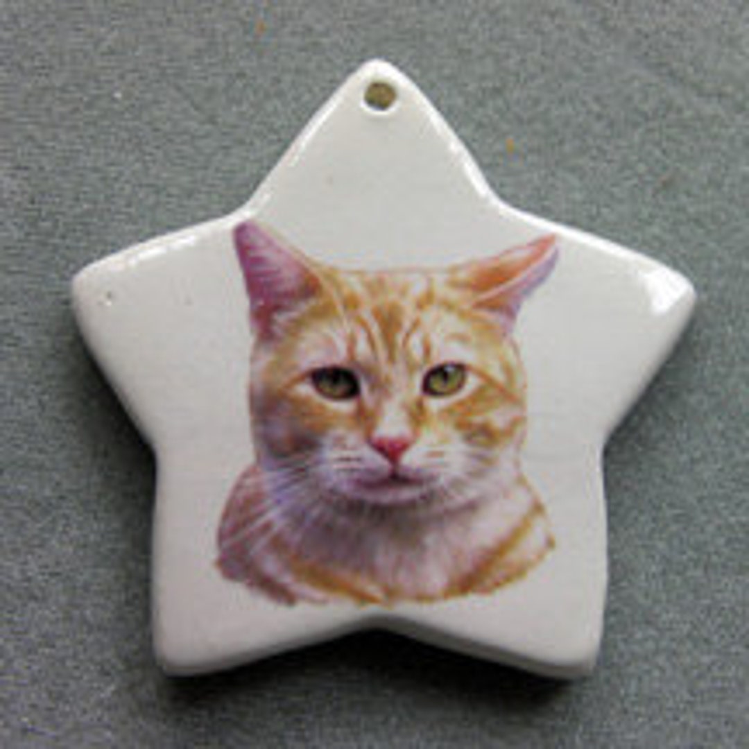 Orange Tabby Cat Star Ornament, Free Personalizing 22k Gold by Nicole ...