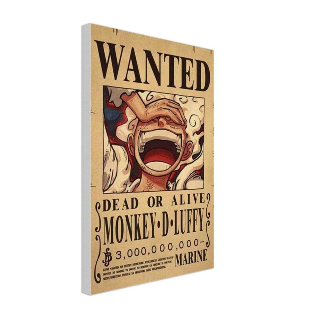 Monkey D Luffy 3B Bounty Canvas 30x45 Cm / 12x18 - Etsy