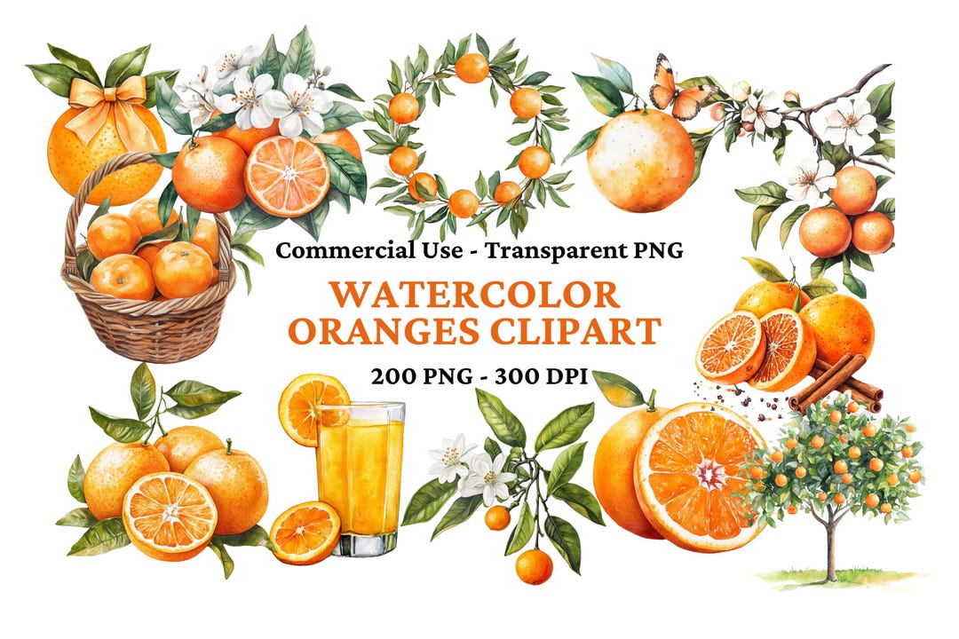 200 Watercolor Orange Clipart Set - Fruit & Floral PNG Bundle - Instant ...