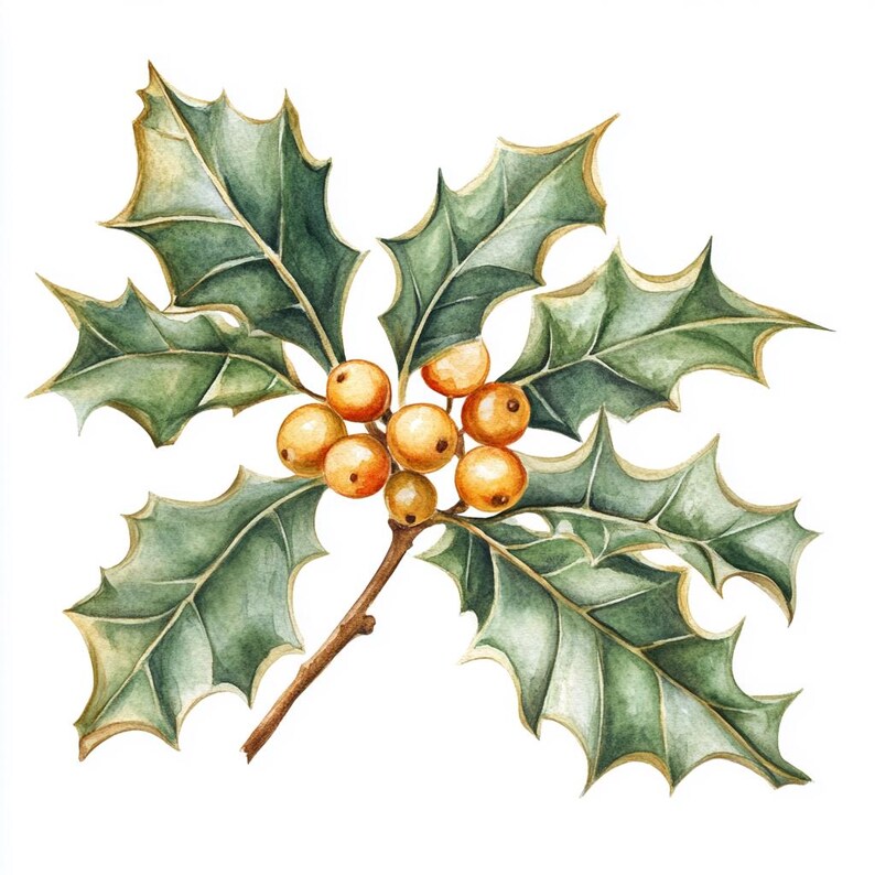 200 Watercolor Christmas Clipart - Christmas Tree Clipart - Green and ...