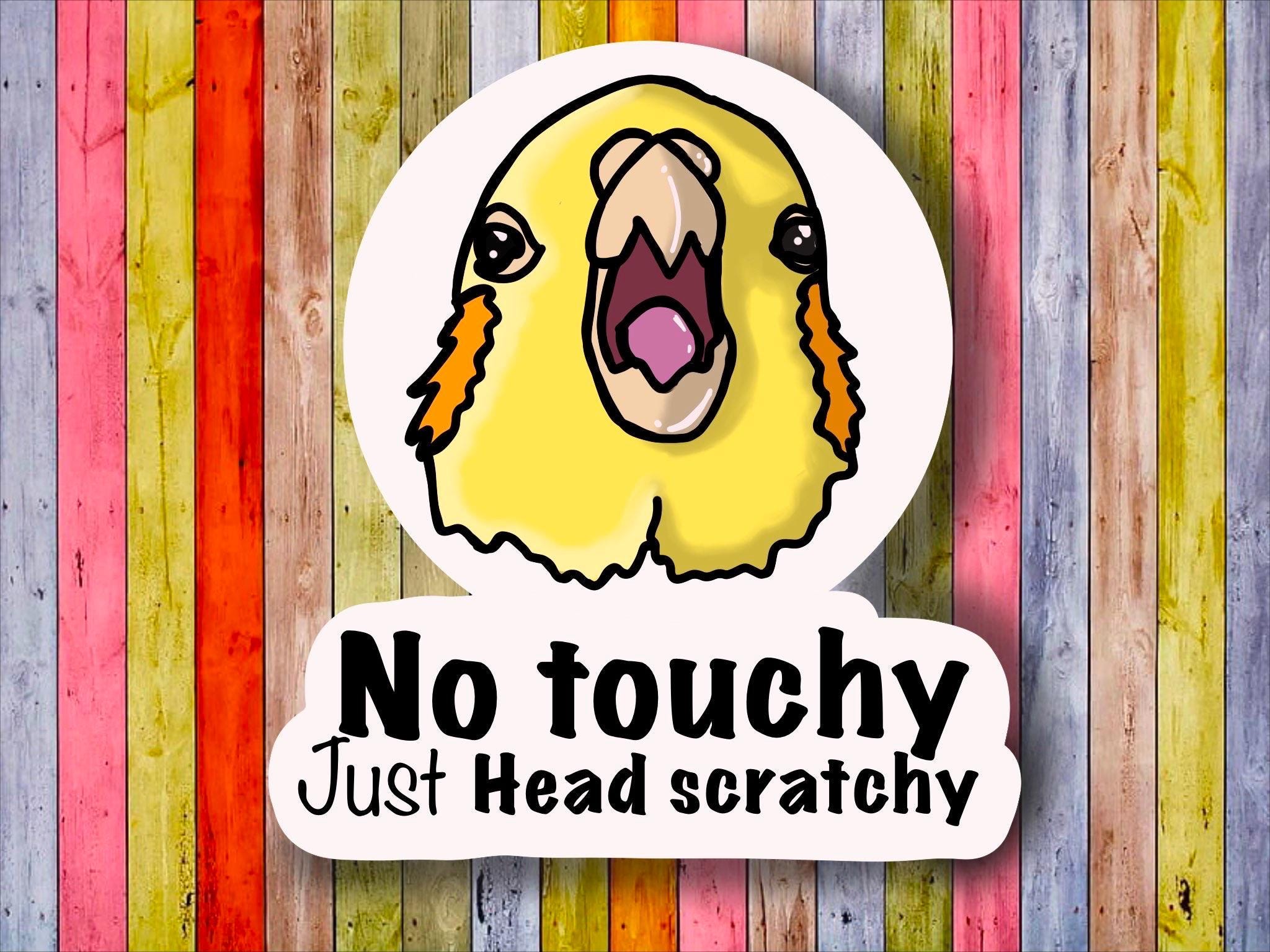 Cockatiel Meme Sticker - Etsy