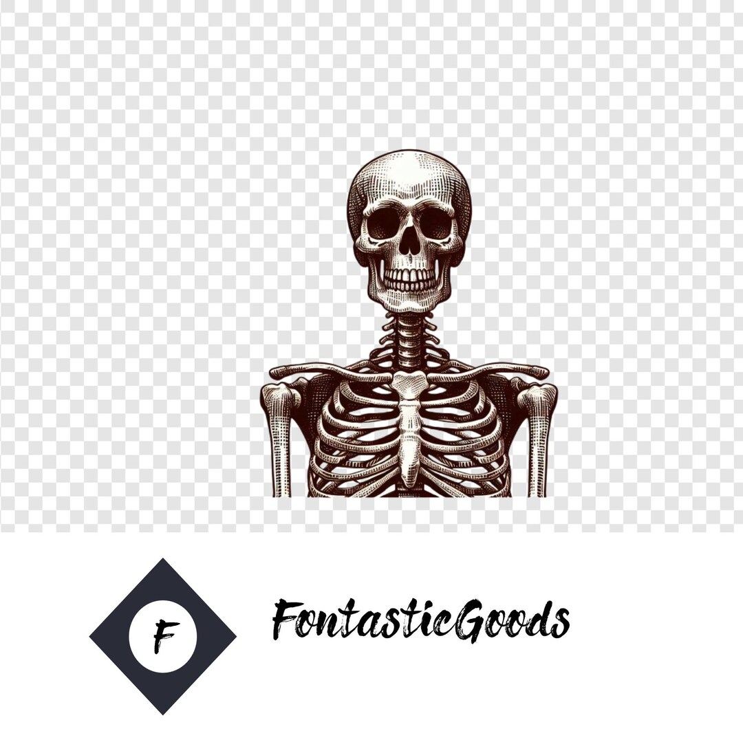 Vintage Drawing of Skeleton Upper Body PNG File Retro Skeleton Clipart ...