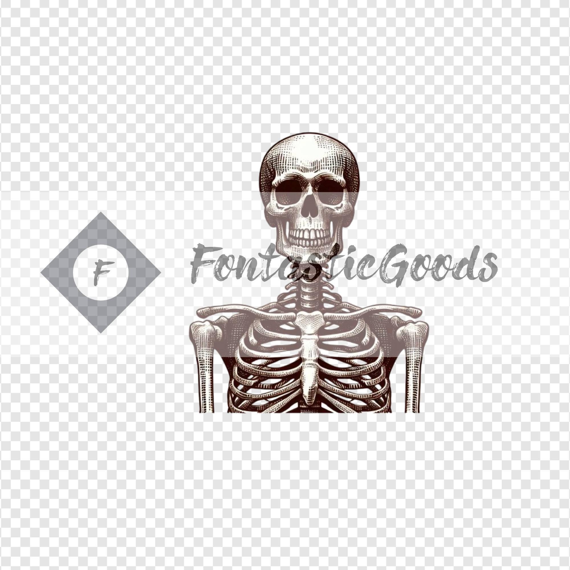 Vintage Drawing of Skeleton Upper Body PNG File Retro Skeleton Clipart ...