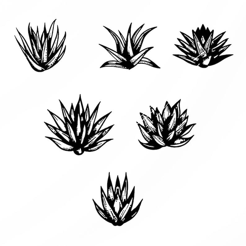 Agave Svg Bundle, Agave Plant Clipart for Cricut, Agave Silhouette ...