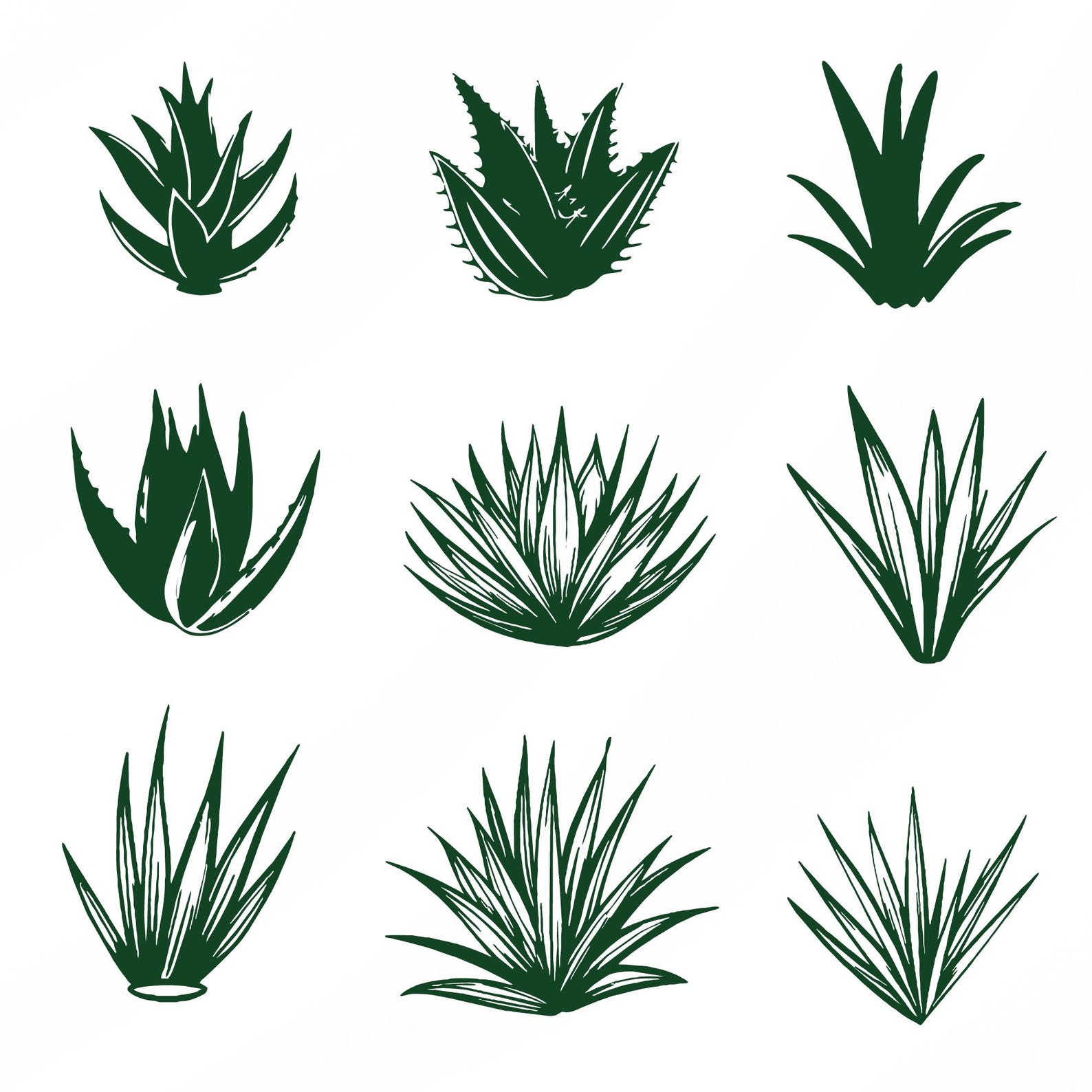 Agave Svg Bundle, Agave Plant Clipart for Cricut, Agave Silhouette ...