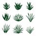 Agave Svg Bundle, Agave Plant Clipart for Cricut, Agave Silhouette ...