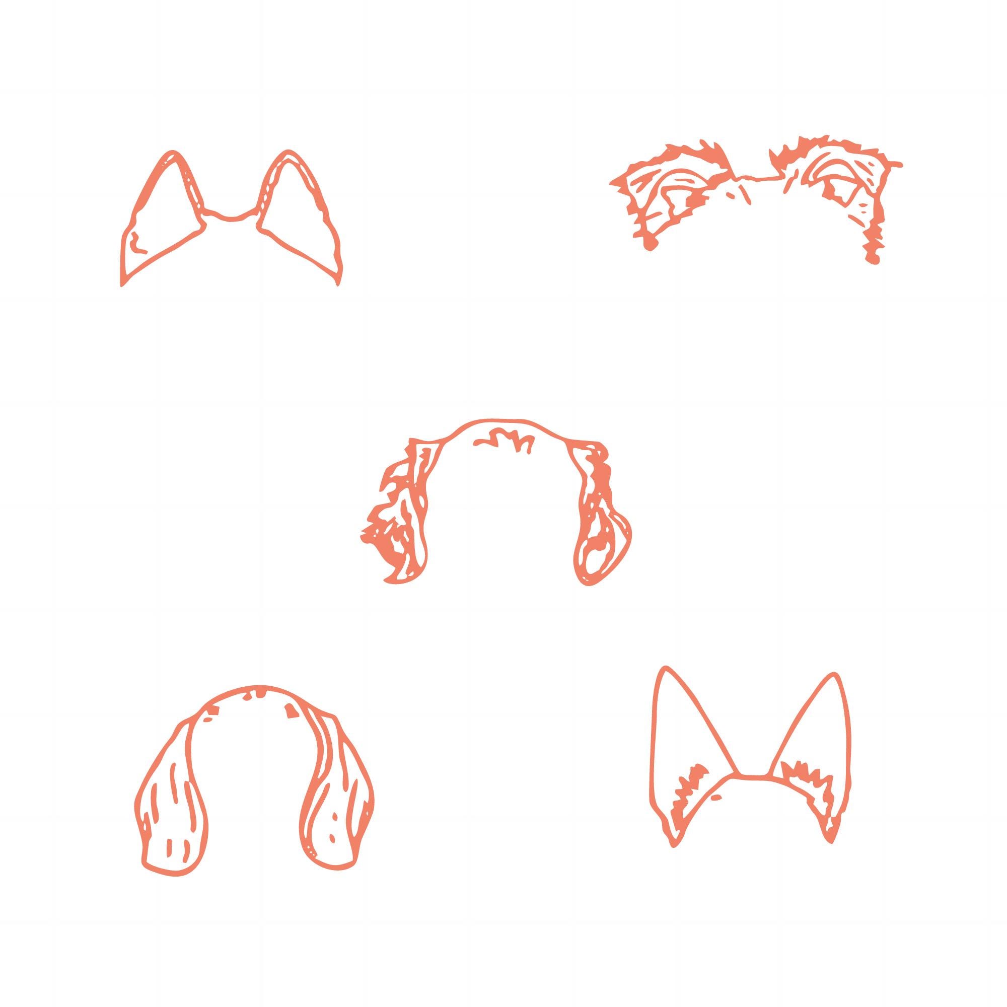 Dog Breed Ears Svg Bundle, Dog Ear Outline Clipart for Cricut, Dog Ear ...