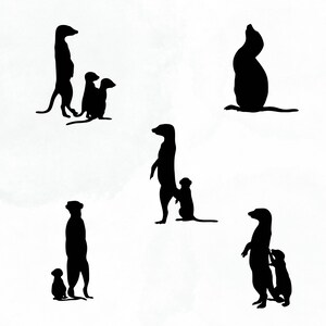 Meerkat Svg Bundle, Meerkat Clipart for Cricut, Cute Meerkat Silhouette ...