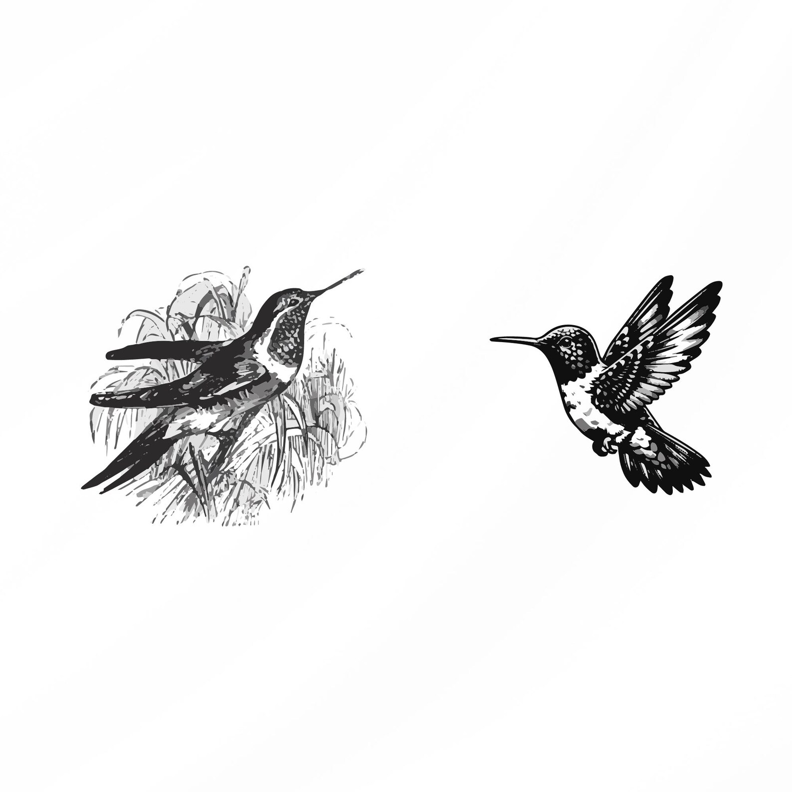 Hummingbird Svg Bundle, Floral Hummingbird Clipart for Cricut, Bird ...