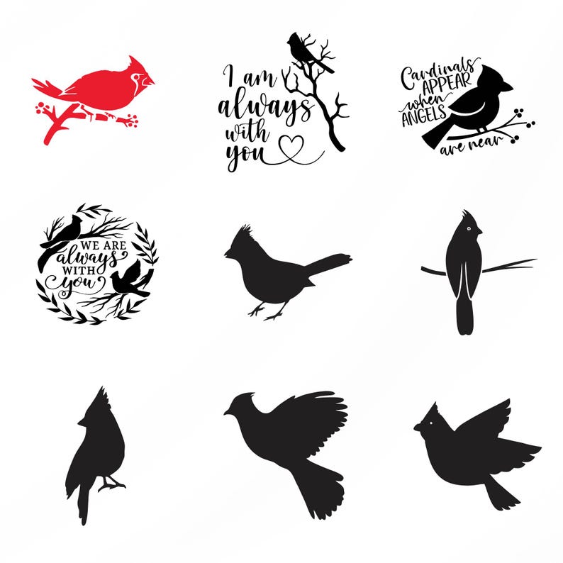 Cardinal Svg Bundle, Cardinal Bird Clipart for Cricut, Bird Silhouette ...