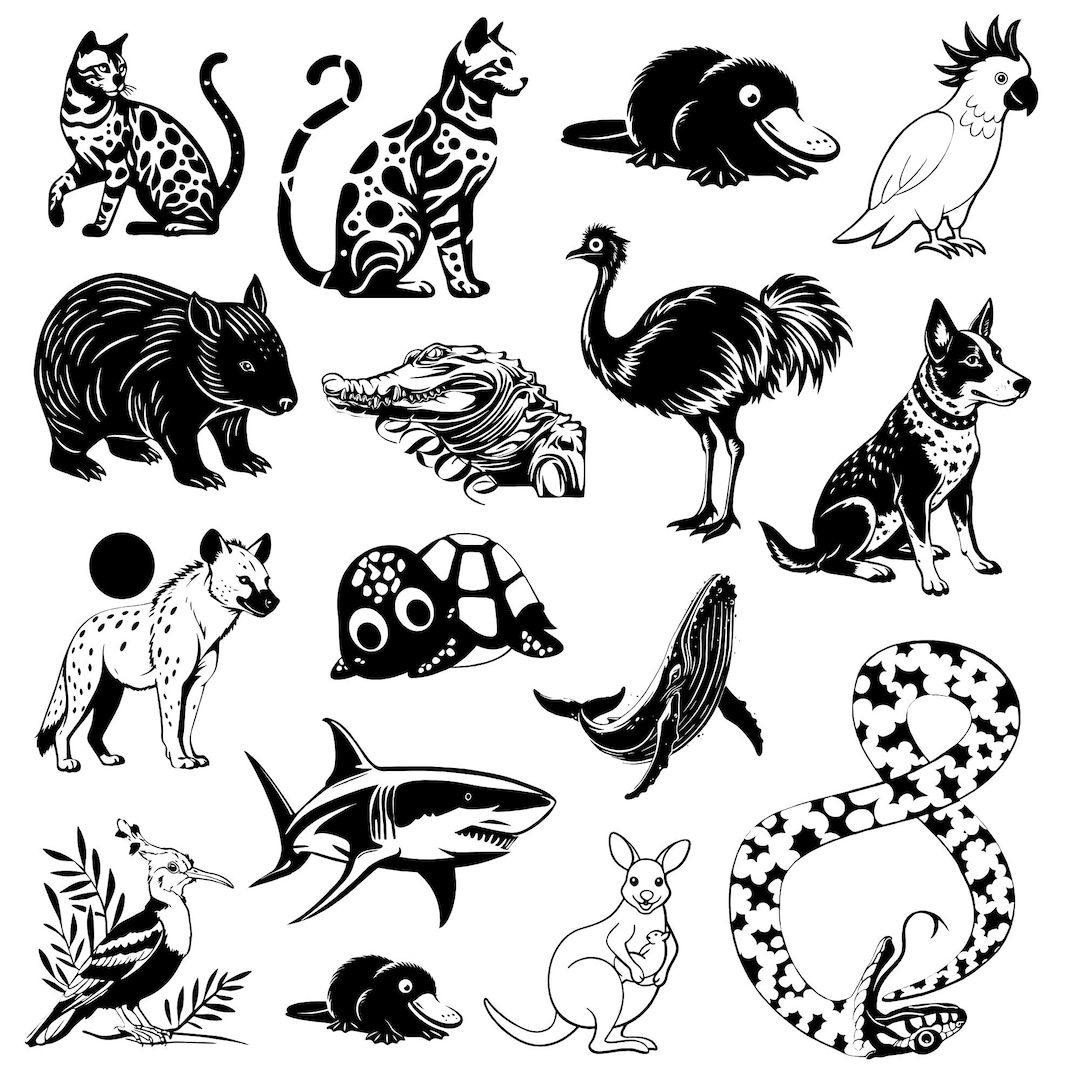 Australian Animals Svg Bundle, Animal Clipart, Australian Animal ...