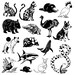 Australian Animals Svg Bundle, Animal Clipart, Australian Animal ...
