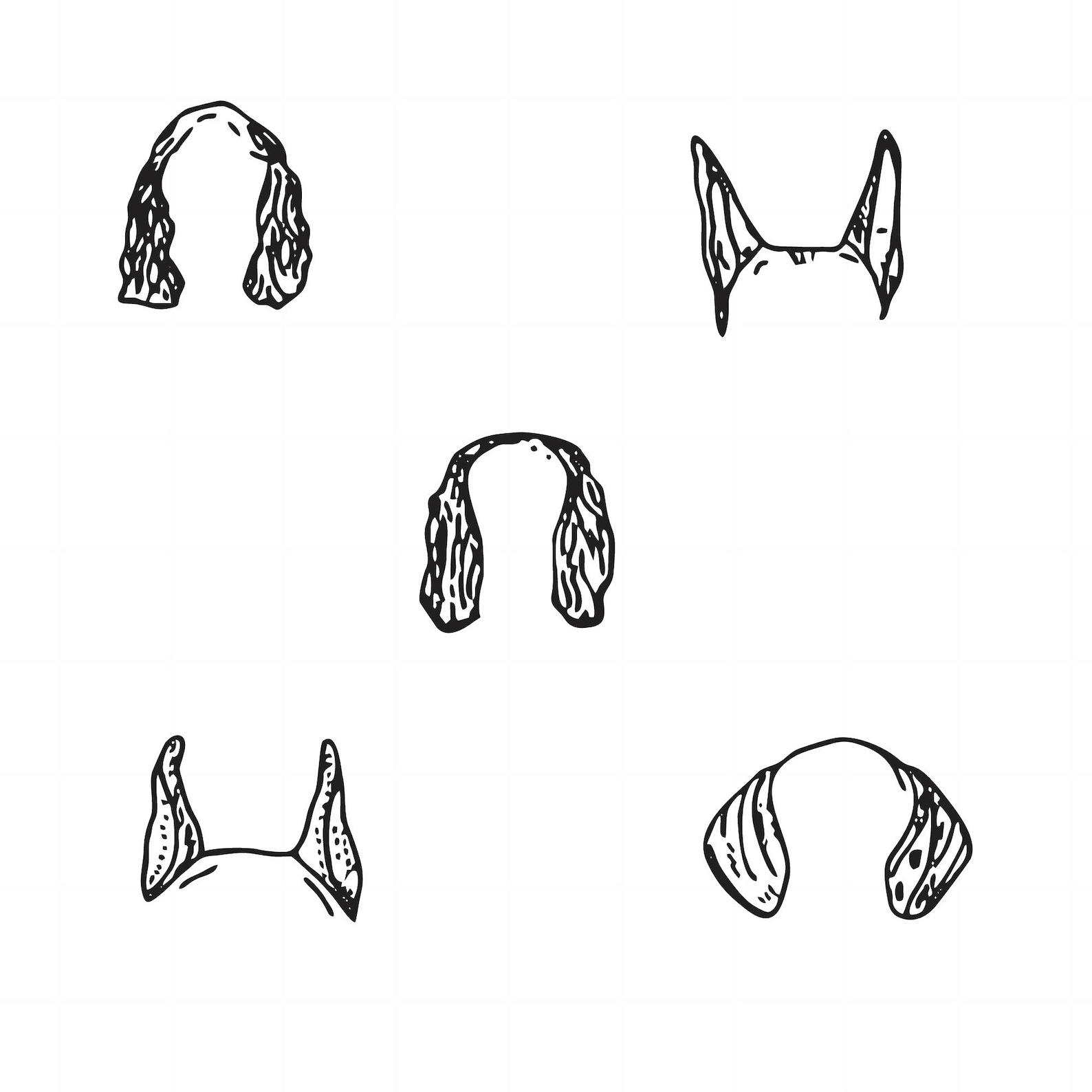 Dog Breed Ears Svg Bundle, Dog Ear Outline Clipart for Cricut, Dog Ear ...
