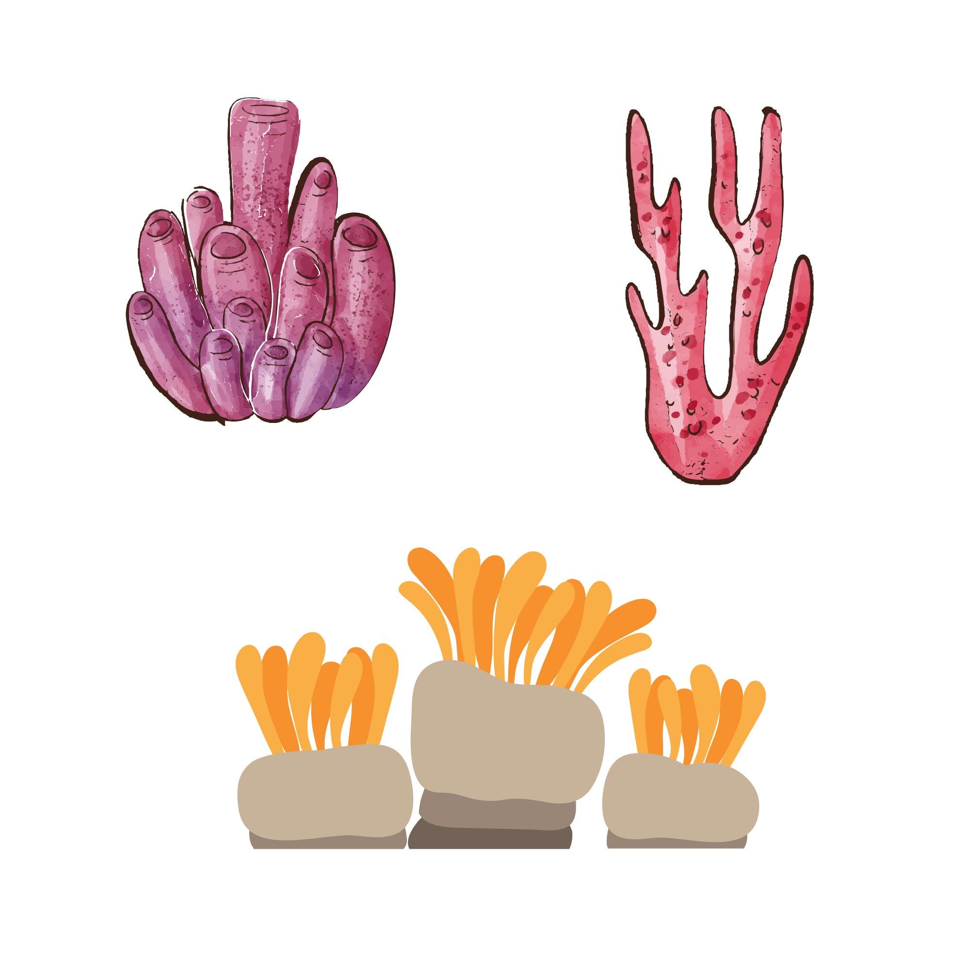 Coral Svg Bundle, Seaweed Clipart, Under the Sea Vector, Underwater ...