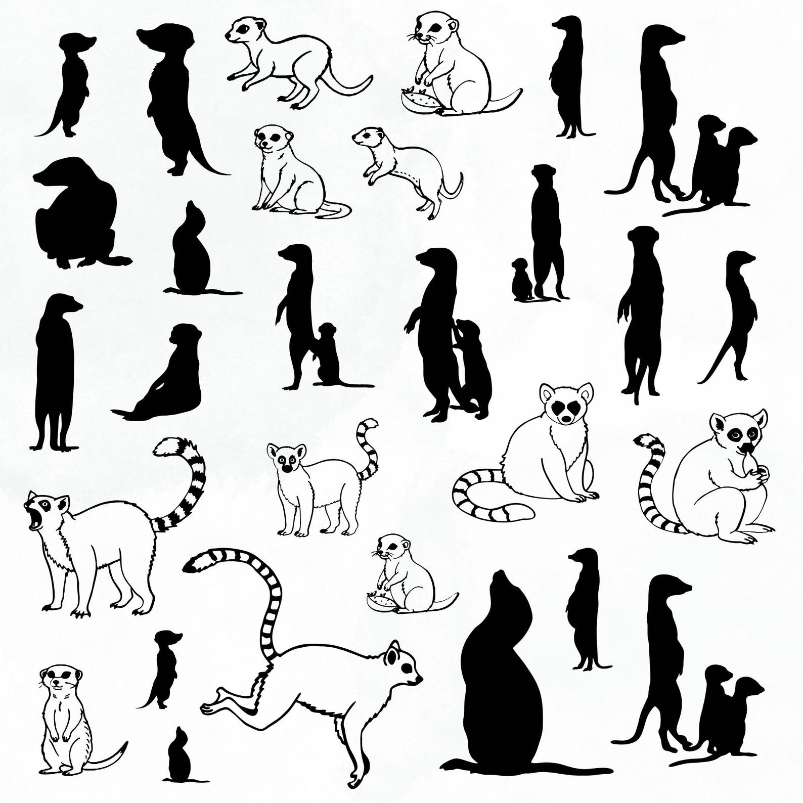 Meerkat Svg Bundle, Meerkat Clipart for Cricut, Cute Meerkat Silhouette ...