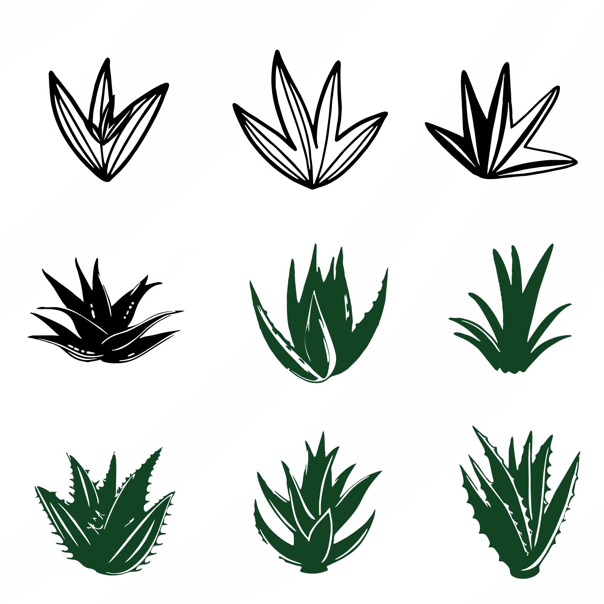 Agave Svg Bundle, Agave Plant Clipart for Cricut, Agave Silhouette ...