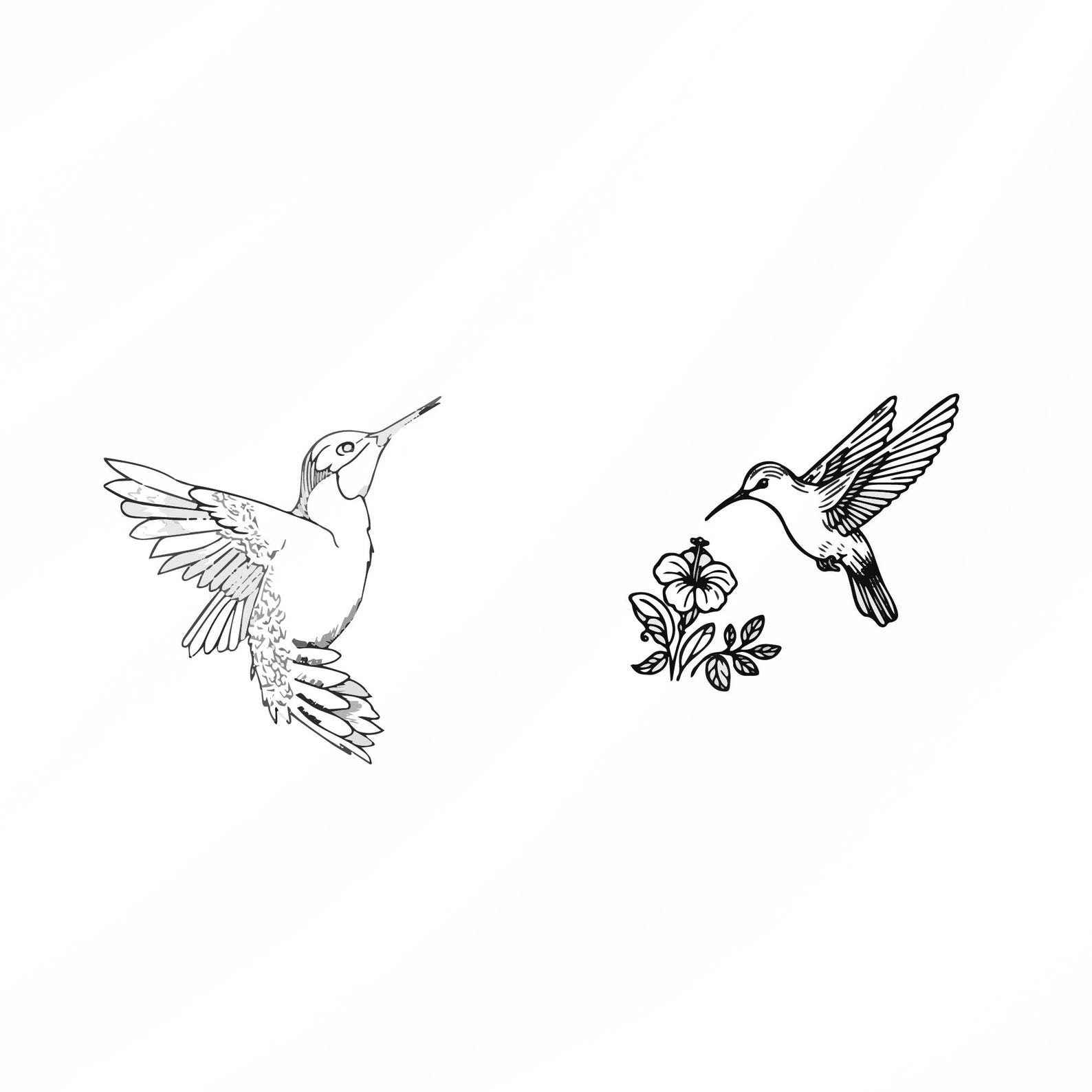 Hummingbird Svg Bundle, Floral Hummingbird Clipart for Cricut, Bird ...