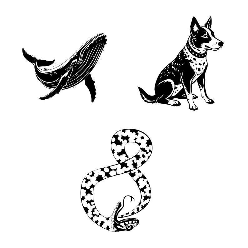 Australian Animals Svg Bundle, Animal Clipart, Australian Animal ...
