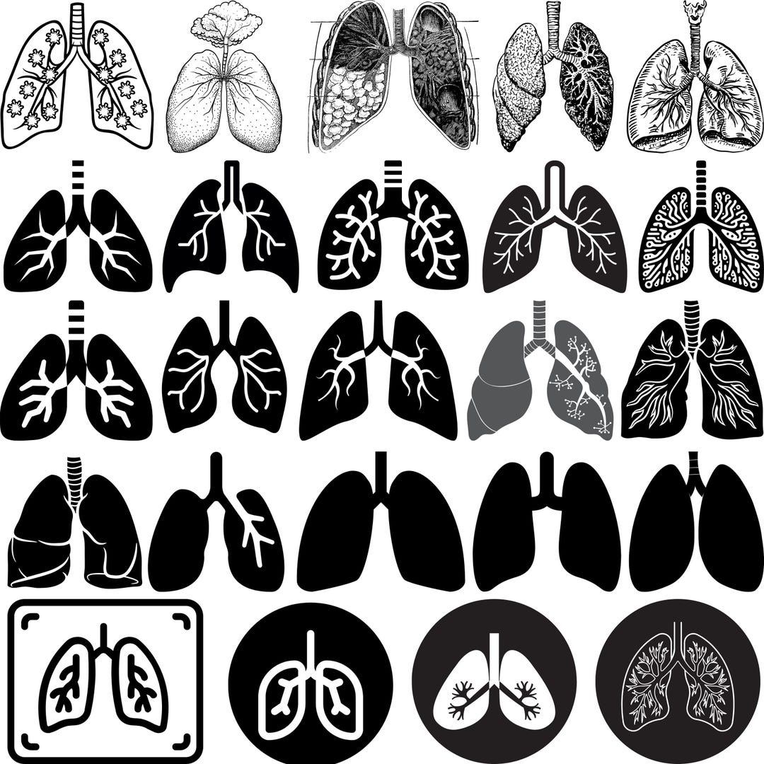 Lungs Svg Bundle, Lungs Clipart for Cricut, Lungs Silhouette, Lung ...
