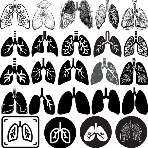 Lung Svg - Etsy