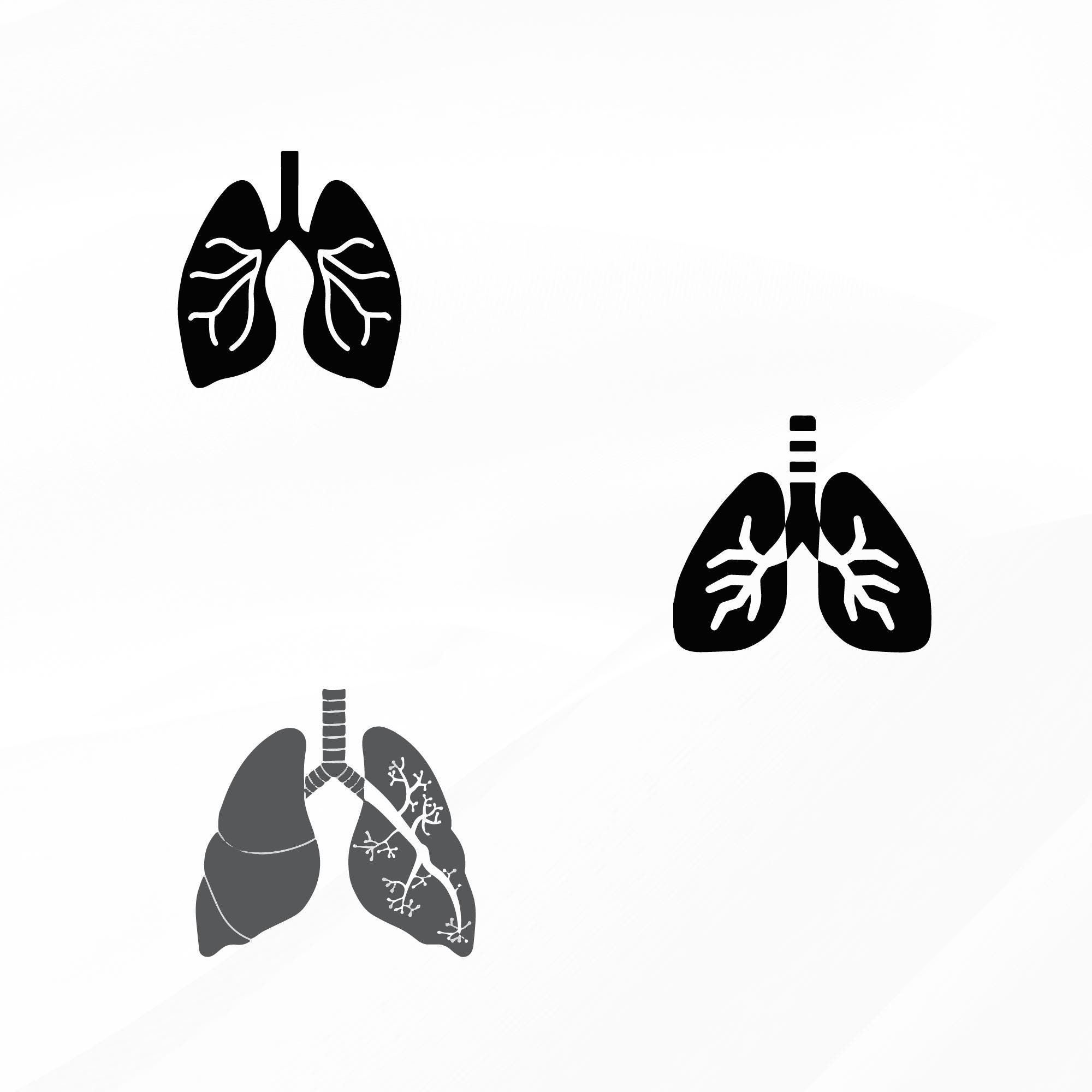Lungs Svg Bundle, Lungs Clipart for Cricut, Lungs Silhouette, Lung ...