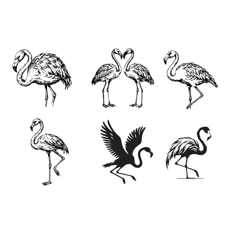 Flamingo Svg Bundle, Flamingo Clipart for Cricut, Cute Flamingo ...