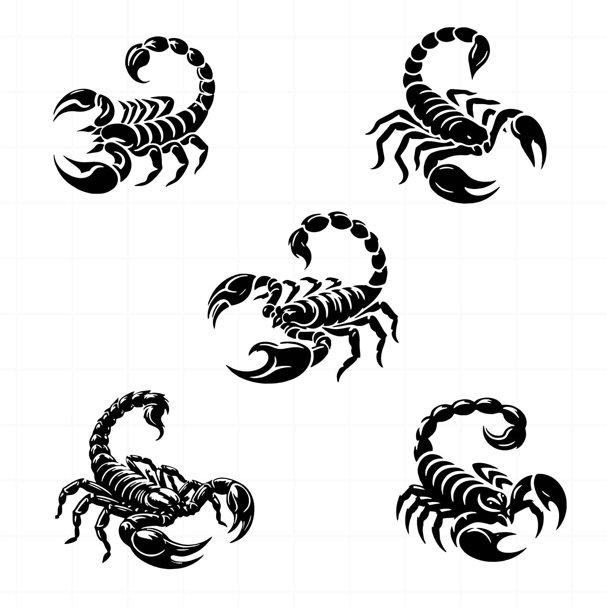 Scorpion Bundle Svg Bundle Clipart Cricut Scorpio Bundle Silhouette ...