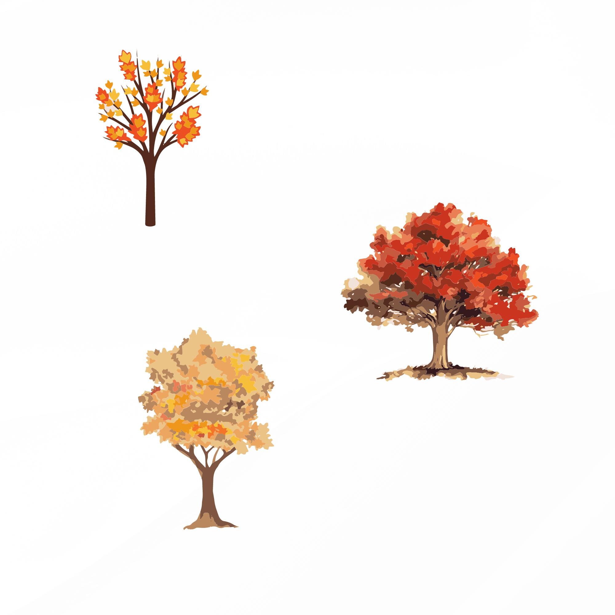 Maple Tree Svg Bundle, Tree Clipart for Cricut, Maple Tree Silhouette ...