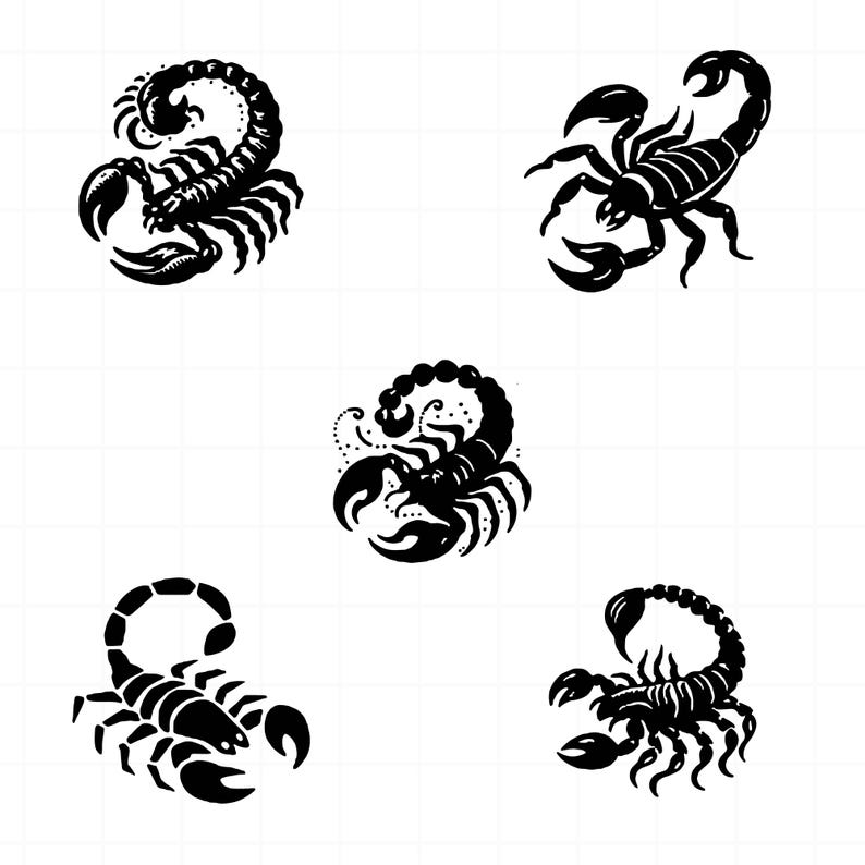 Scorpion Bundle Svg Bundle Clipart Cricut Scorpio Bundle Silhouette ...