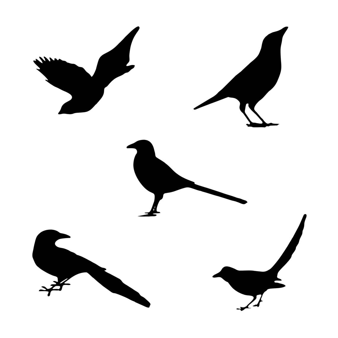 Magpie Svg Bundle, Magpie Clipart for Cricut, Cute Magpie Silhouette ...