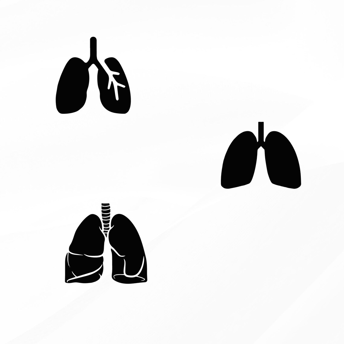 Lungs Svg Bundle, Lungs Clipart for Cricut, Lungs Silhouette, Lung ...