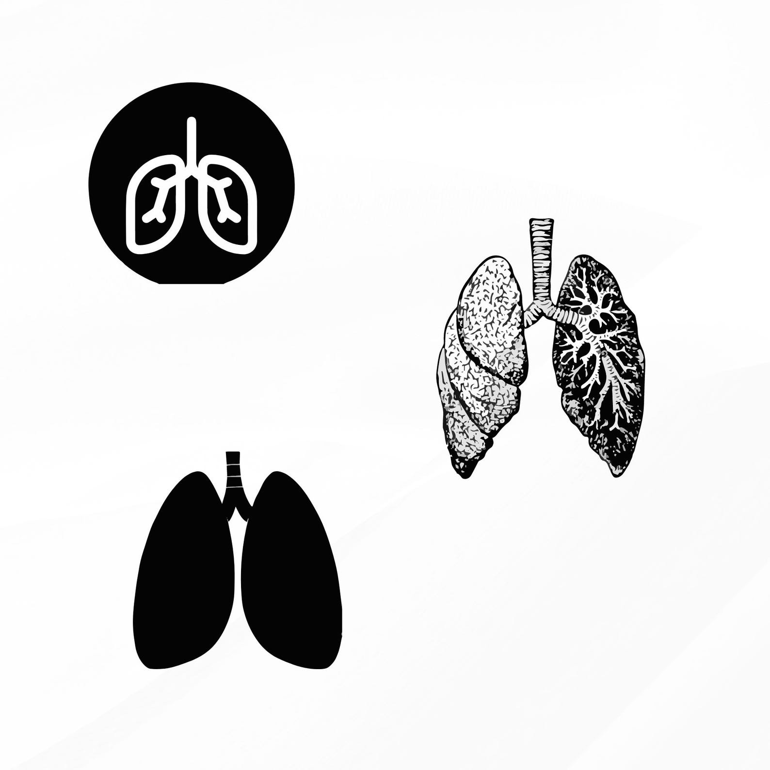 Lungs Svg Bundle, Lungs Clipart for Cricut, Lungs Silhouette, Lung ...