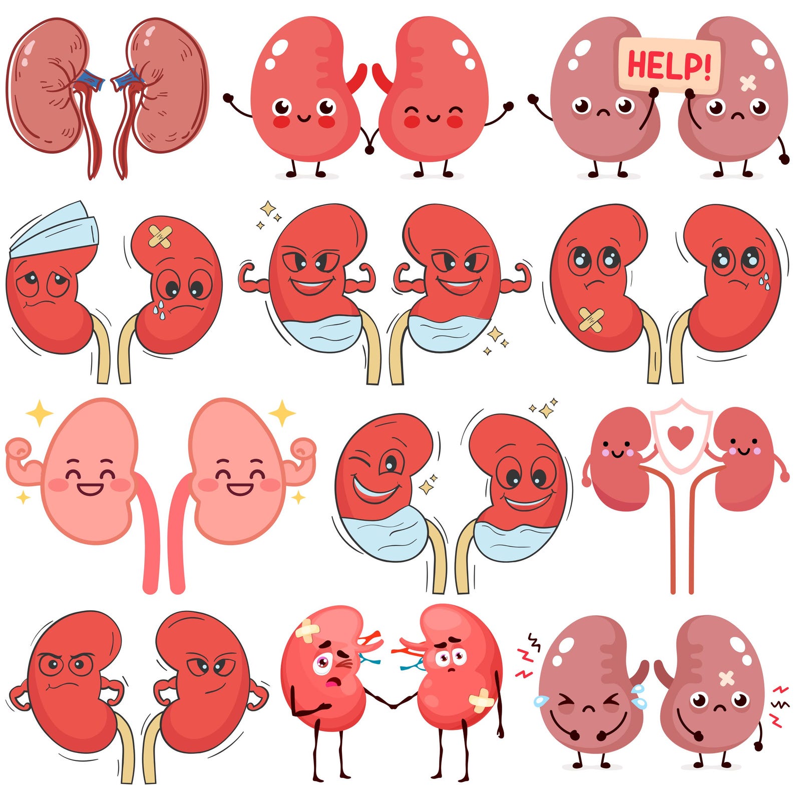 Kidney Svg Bundle, Kidney Clipart for Cricut, Kidney Silhouette, Kidney ...