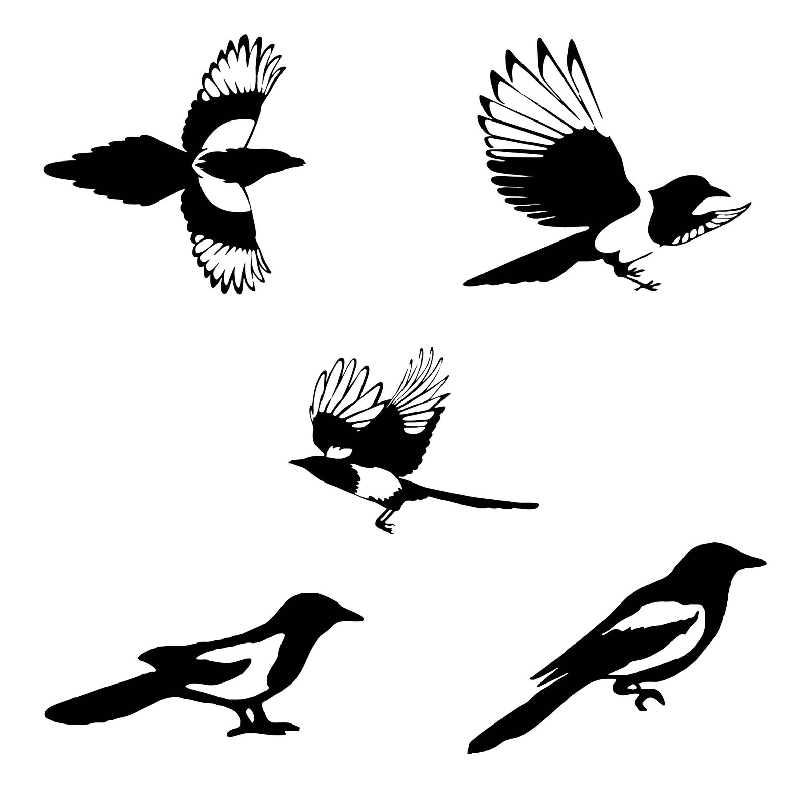 Magpie Svg Bundle, Magpie Clipart for Cricut, Cute Magpie Silhouette ...
