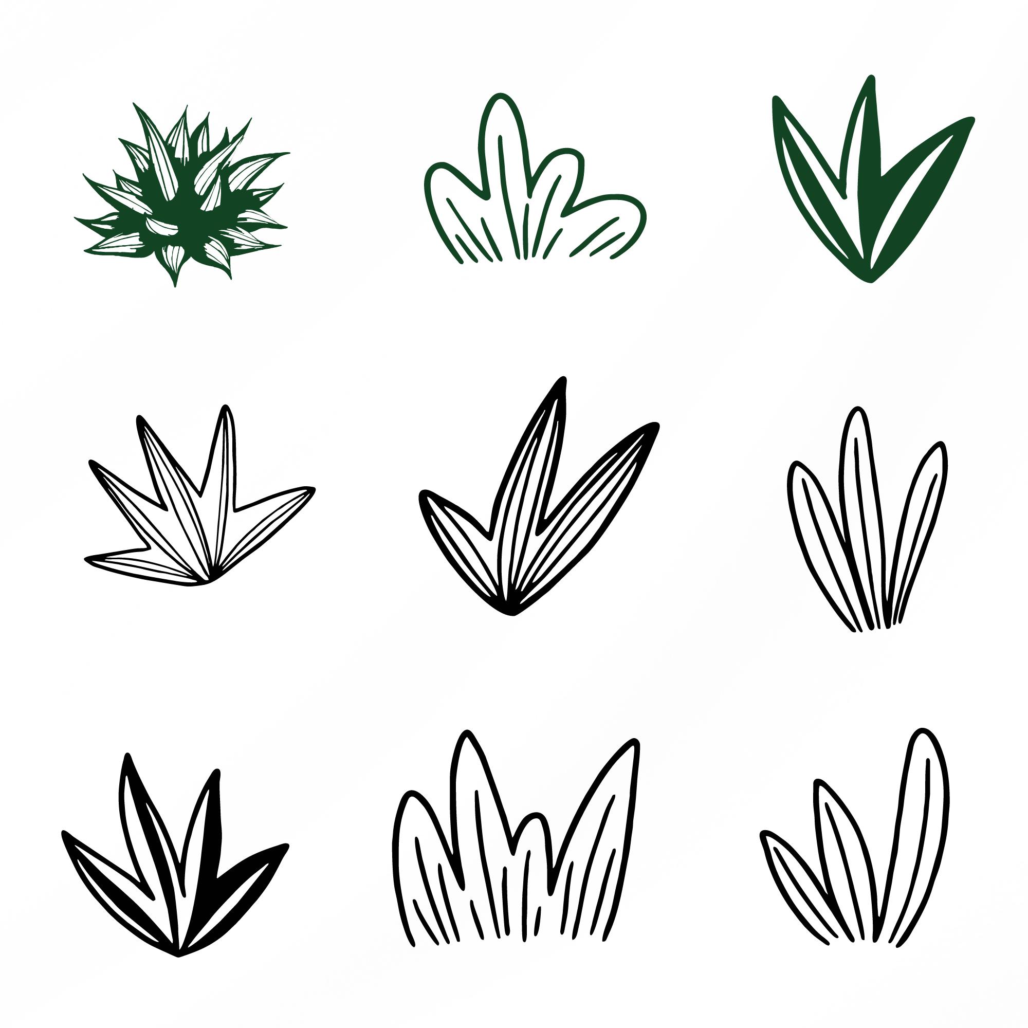 Agave Svg Bundle, Agave Plant Clipart for Cricut, Agave Silhouette ...