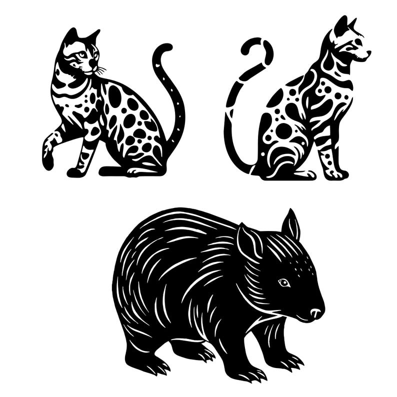 Australian Animals Svg Bundle, Animal Clipart, Australian Animal ...
