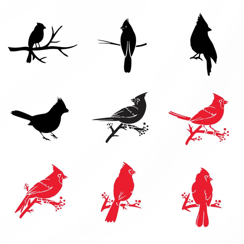 Cardinal Svg Bundle, Cardinal Bird Clipart for Cricut, Bird Silhouette ...