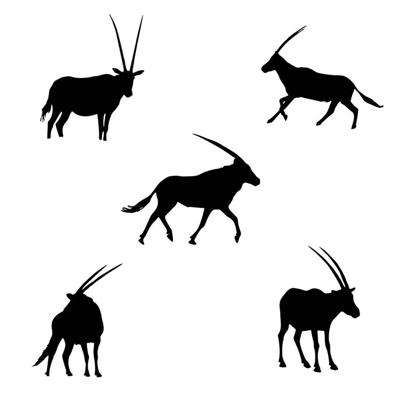 Oryx Svg Bundle, Oryx Clipart for Cricut, Animal Silhouette, Oryx ...