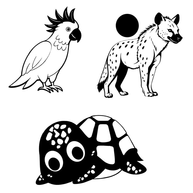 Australian Animals Svg Bundle, Animal Clipart, Australian Animal ...