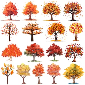 Maple Tree Svg Bundle, Tree Clipart for Cricut, Maple Tree Silhouette ...