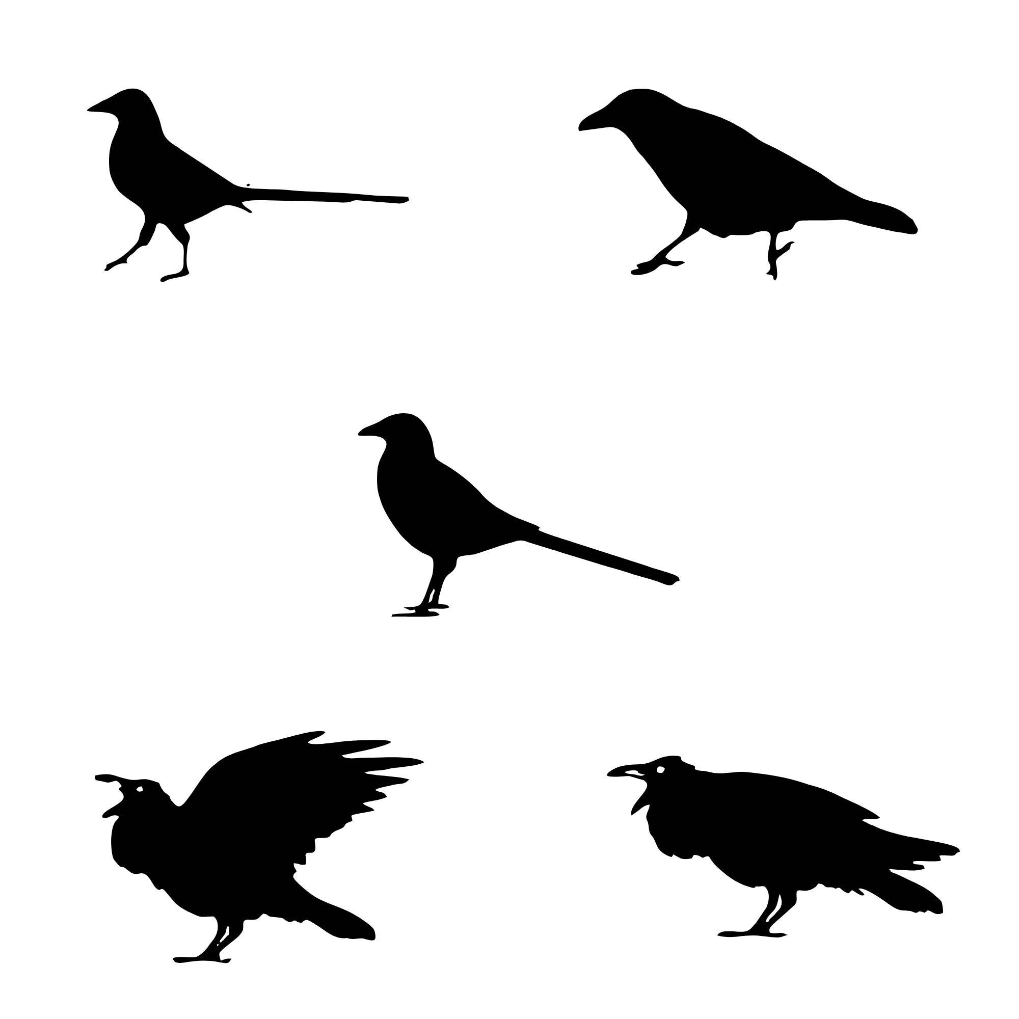 Magpie Svg Bundle, Magpie Clipart for Cricut, Cute Magpie Silhouette ...
