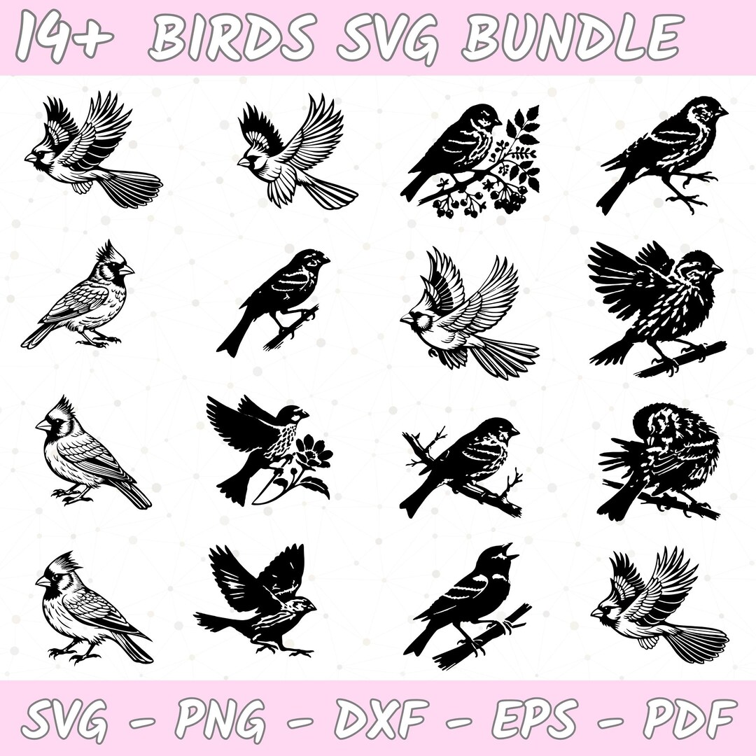 Birds Svg Bundle, Flying Birds, Layered Svg, Bird Lover Gift, Birds ...