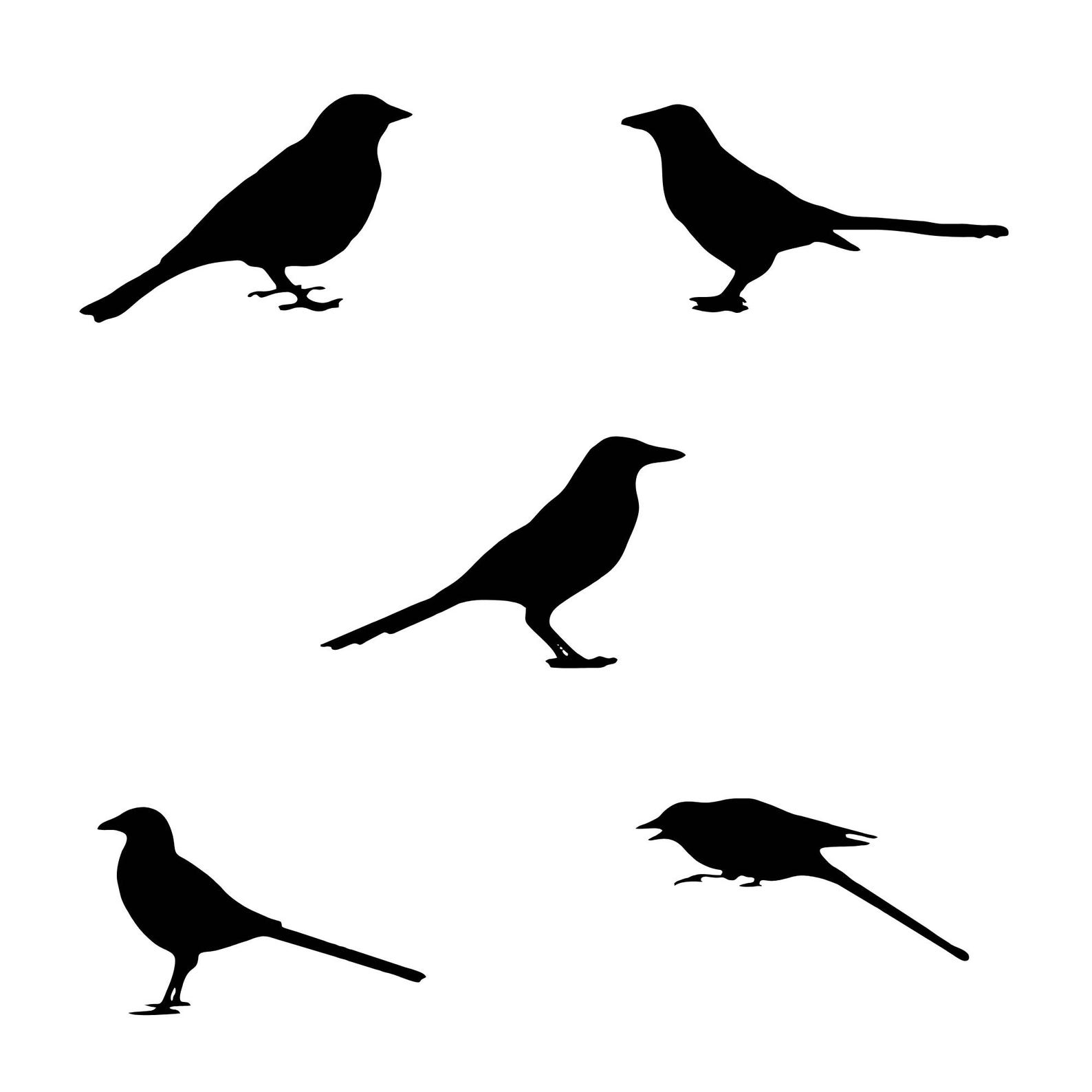 Magpie Svg Bundle, Magpie Clipart for Cricut, Cute Magpie Silhouette ...