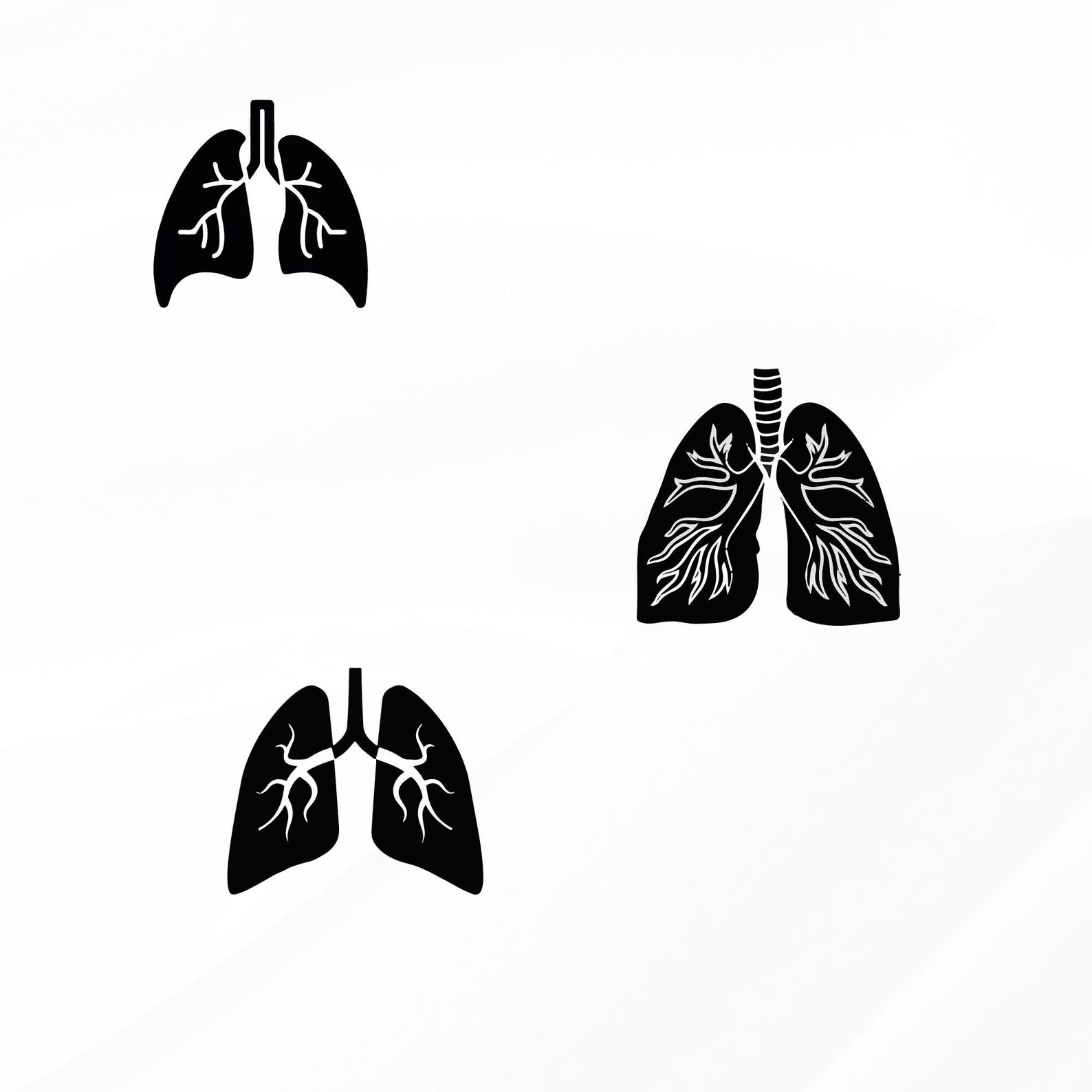 Lungs Svg Bundle, Lungs Clipart for Cricut, Lungs Silhouette, Lung ...