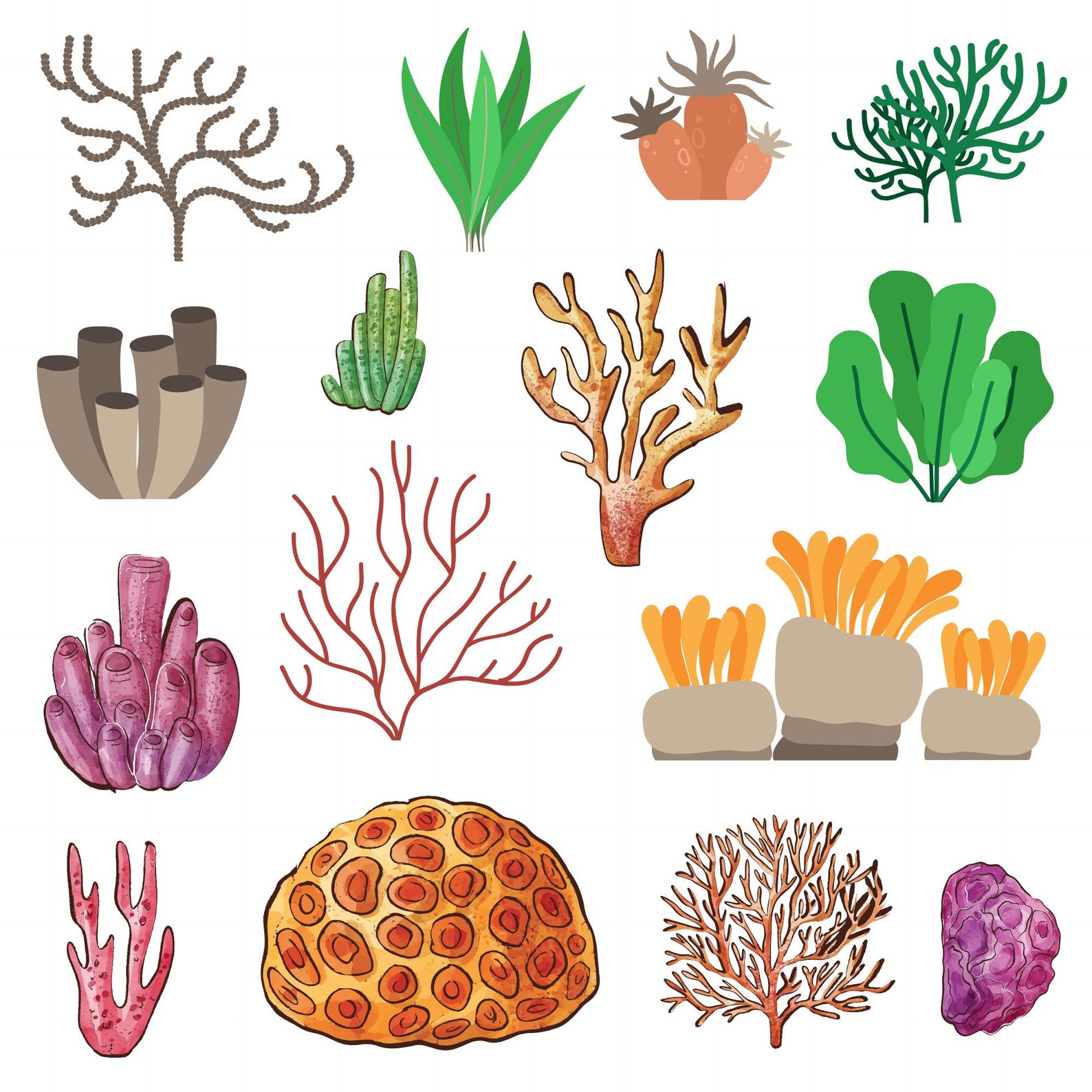 Coral Svg Bundle, Seaweed Clipart, Under the Sea Vector, Underwater ...