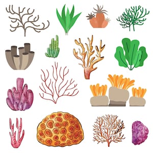 Coral Svg Bundle, Seaweed Clipart, Under the Sea Vector, Underwater ...