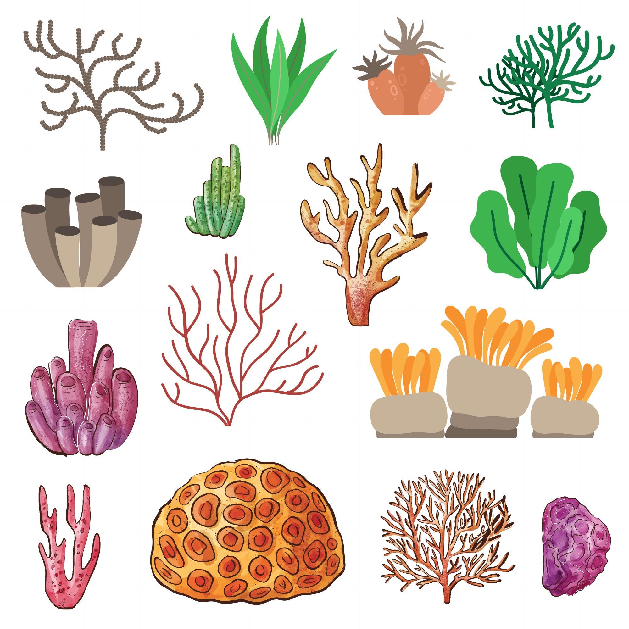 Coral Svg Bundle, Seaweed Clipart, Under the Sea Vector, Underwater ...